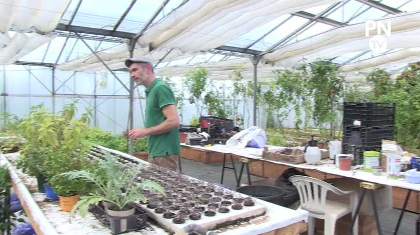Vidéos : L'aquaponie : le caca des poissons, un engrais naturel - Paris ...