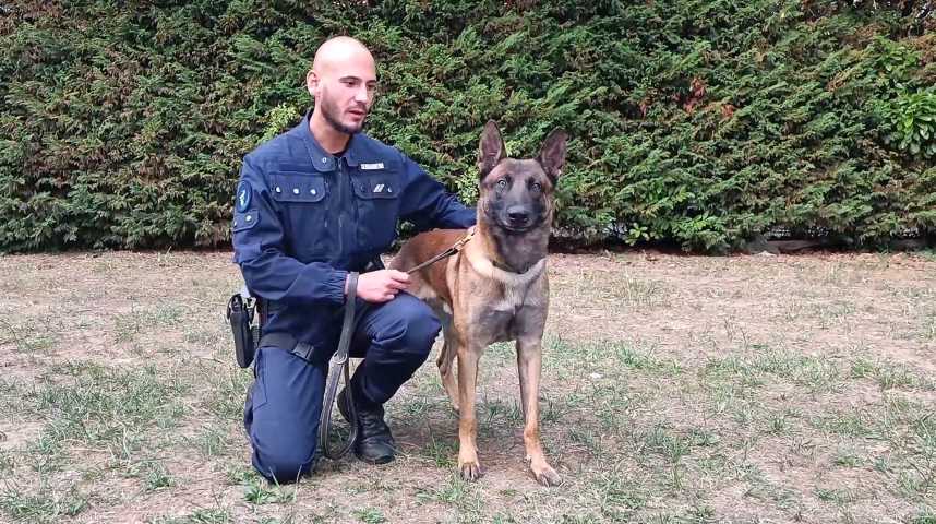 Vidéos : Roye: le gendarme Anthony Alba présente son métier et son ...