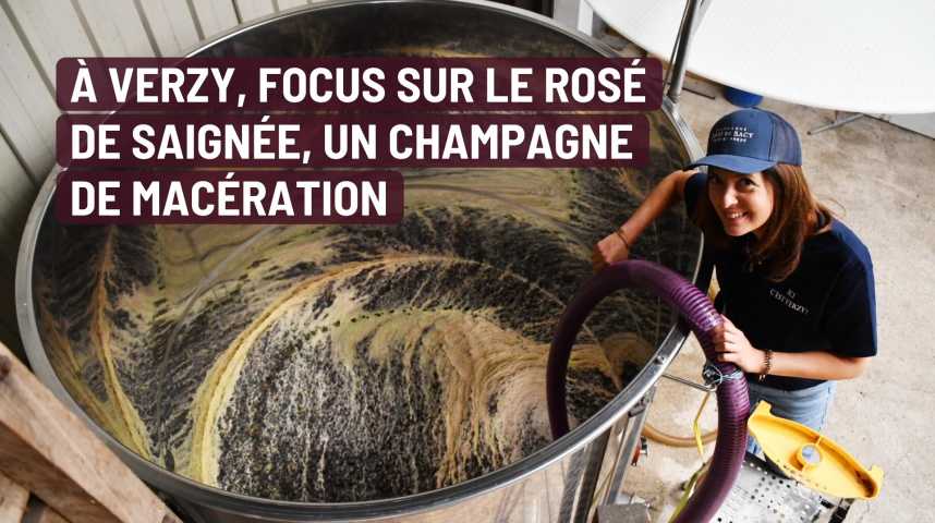Vidéos : À Verzy, focus sur le rosé de saignée, un champagne de ...