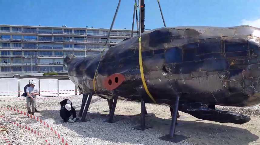 Vidéos : Un cachalot géant sur la plage du Havre - Paris Normandie
