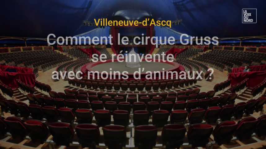 Le cirque Arlette Gruss - La Voix du Nord Vidéos