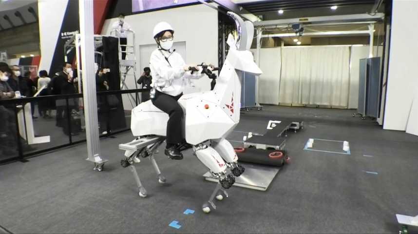 Japon: un robot en forme de chèvre pour aider les personnes âgées ...