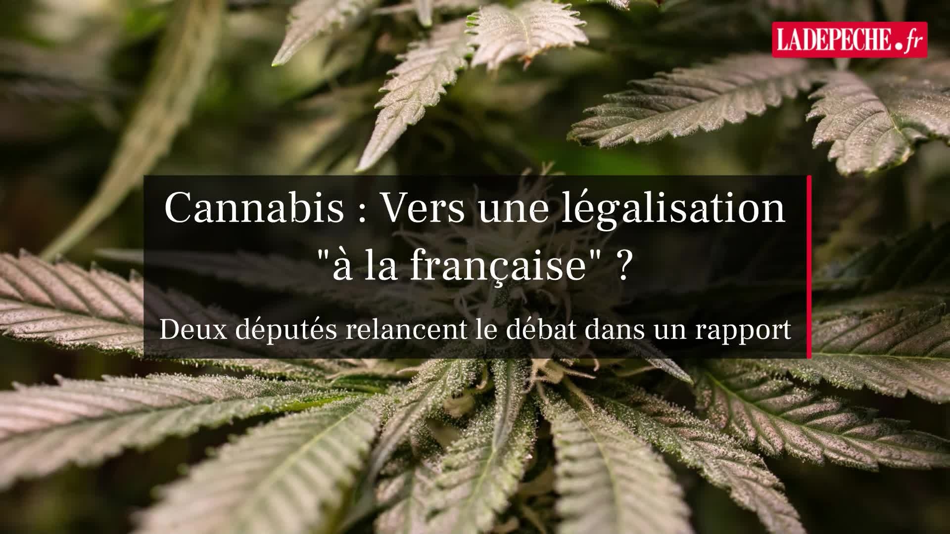 Opération coup de poing antidrogue : trois personnes interpellées à ...