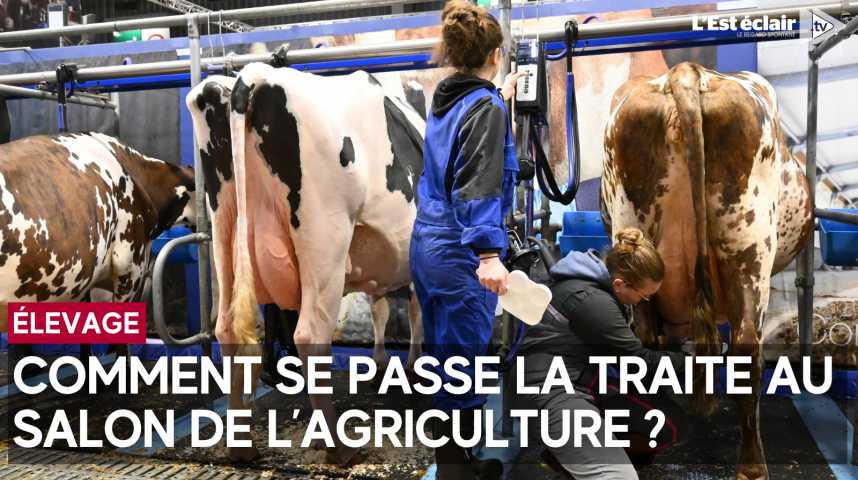 Vidéos : Comment se passe la traite des vaches au Salon de l ...