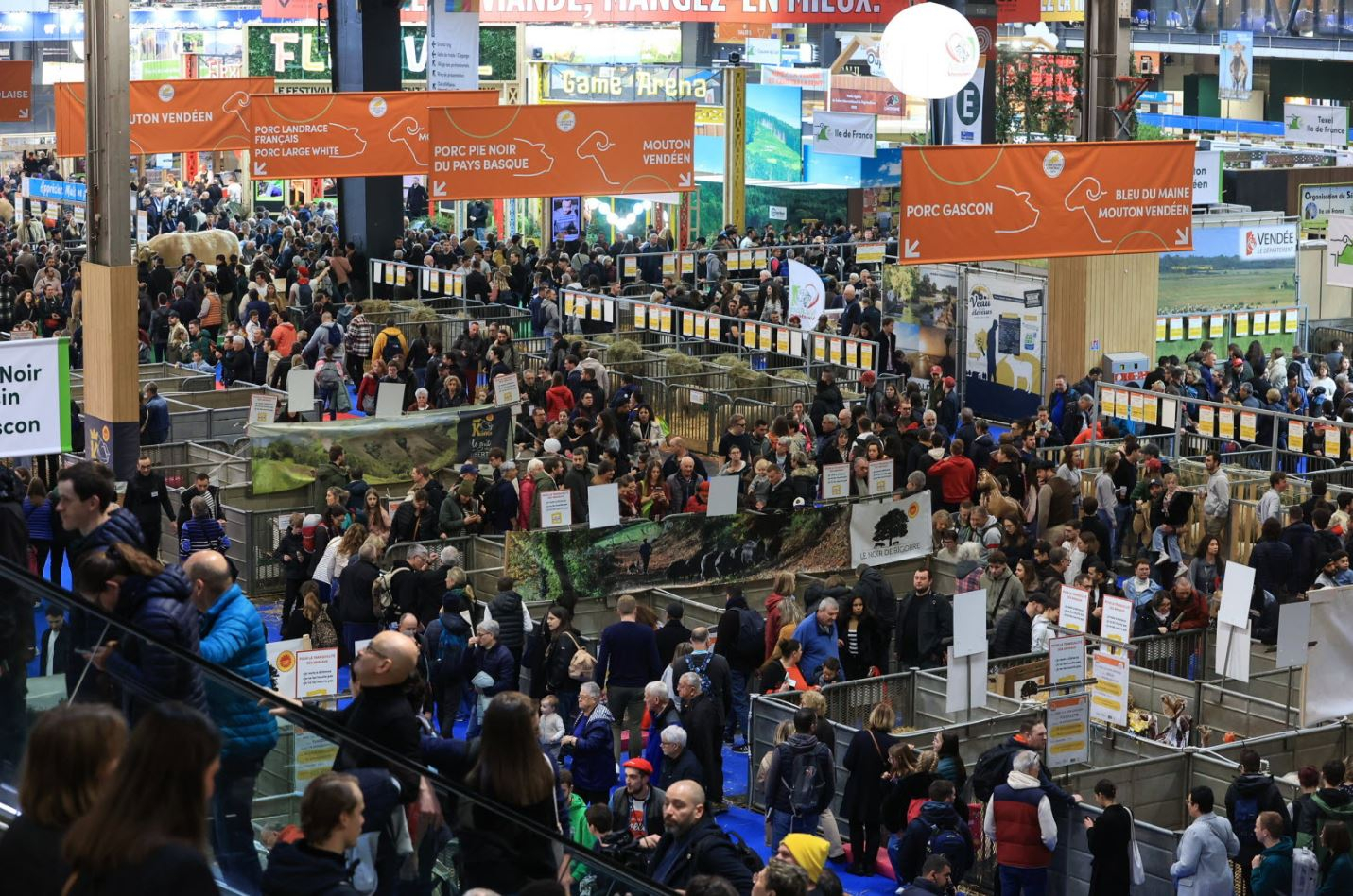 Le « coup de cœur du jour » au Salon de l’agriculture : Lovely, petite ...