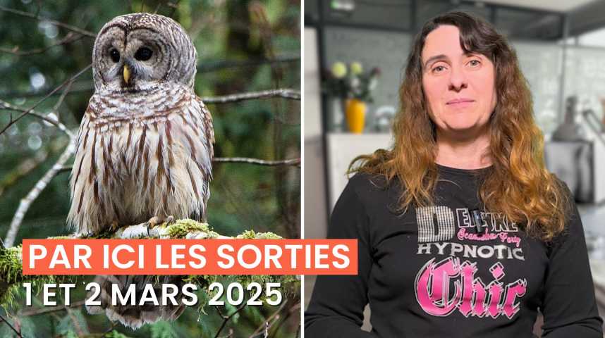 Vidéos : "Par ici les sorties" 1er et 2 mars 2025 - Courrier picard