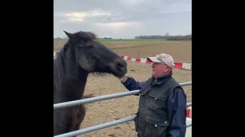 Plus de 300 chevaux sauvés de l’abattoir en trente ans pour l ...