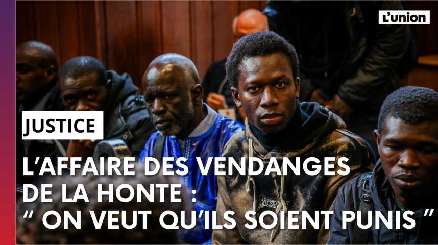 Vidéos : L'affaire des vendanges de la honte : une victime raconte - L ...