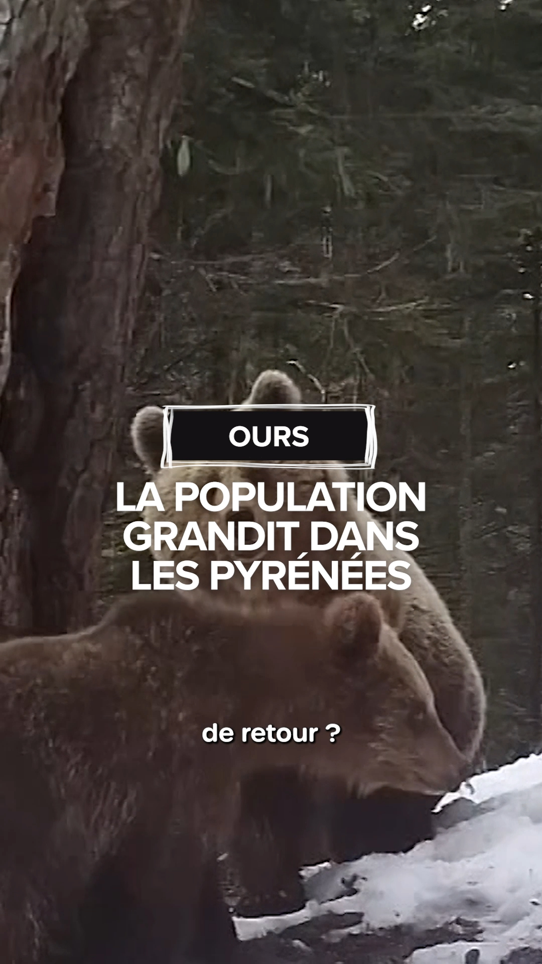 Bokep aixi after popping once during our first meeting,