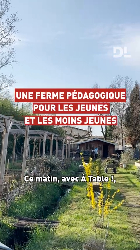 Le célèbre influenceur Goran le permaculteur suivi par près de deux millions de followers parle ...