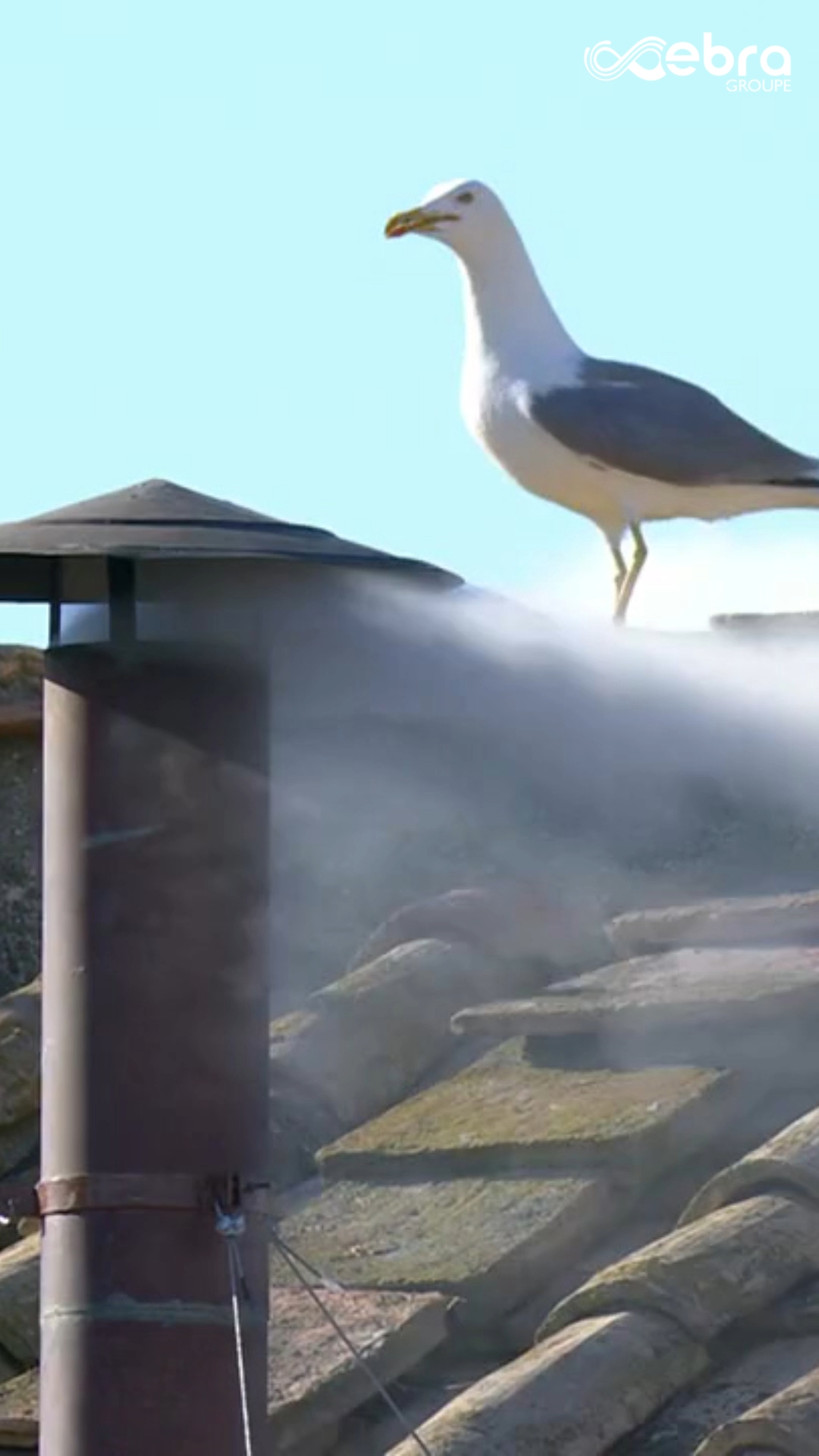 Habemus papam : fumée blanche à la chapelle Sixtine, le pape a été élu