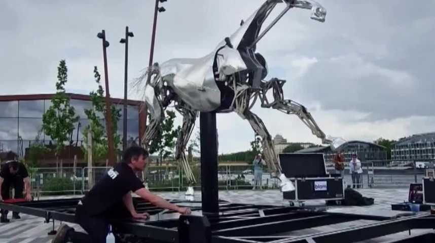 Vidéos : Le cheval star des JO est arrivé à Rouen - Paris Normandie