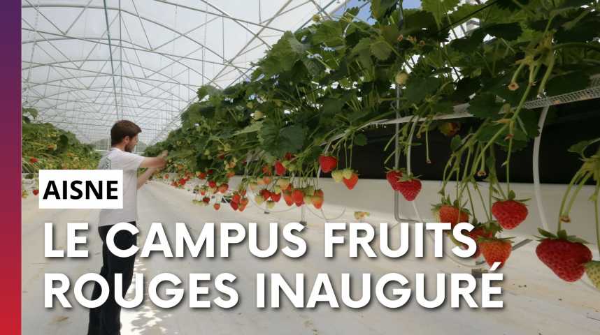 Vidéos : Le Campus Fruits Rouges, un laboratoire à ciel ouvert pour ...
