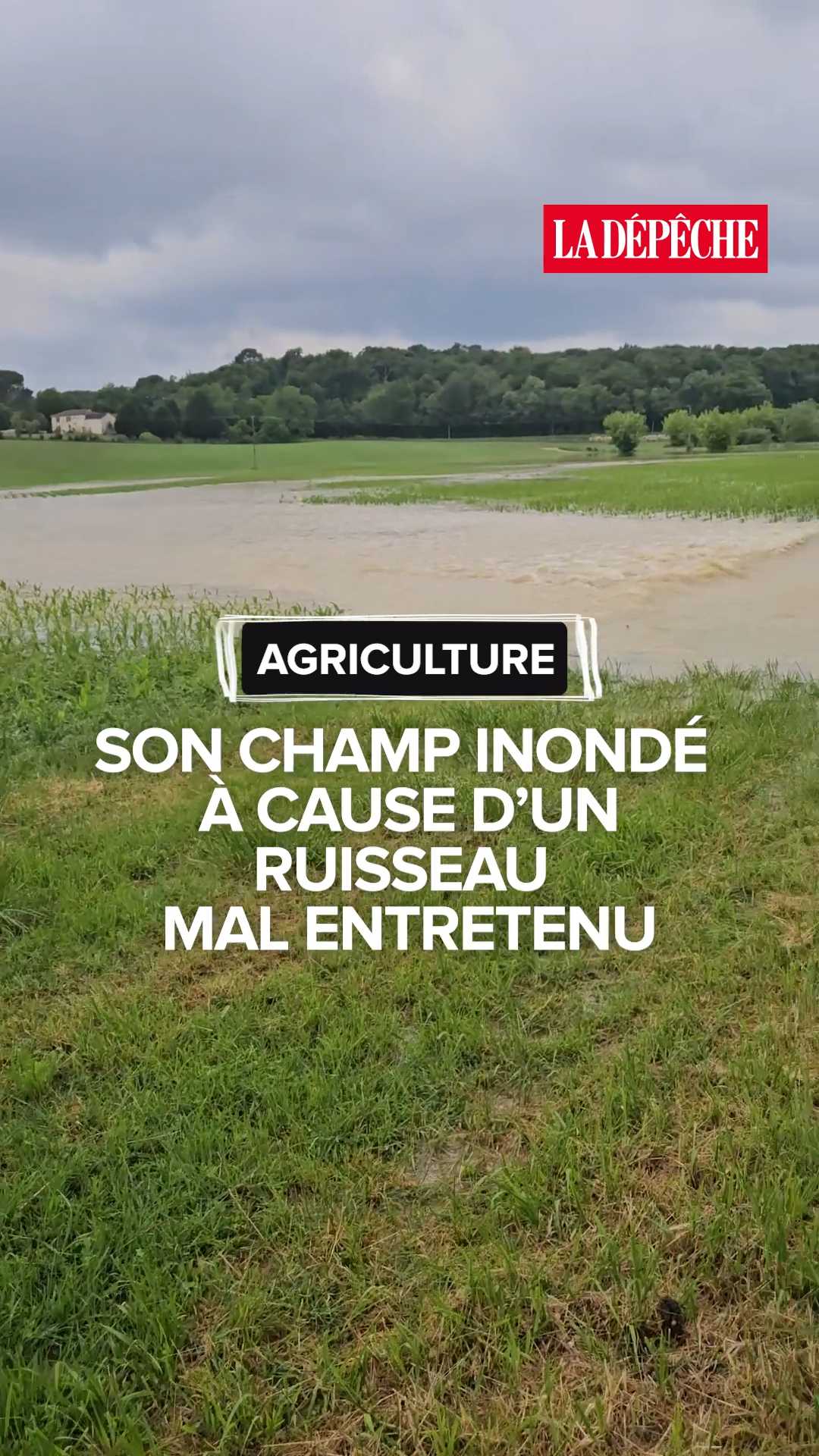 "Aujourd’hui, les Auzitains ont retrouvé leur ruisseau" : ce petit ...