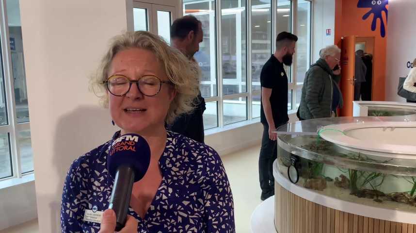 C’est quoi la Blue Academy, qui ouvre ce lundi à Nausicaa ? - La Voix ...