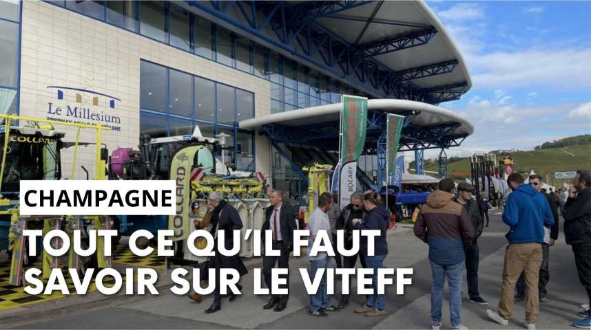Vidéos : Le Viteff en 1 minute 30 par Thomas Crouzet, reporter ...