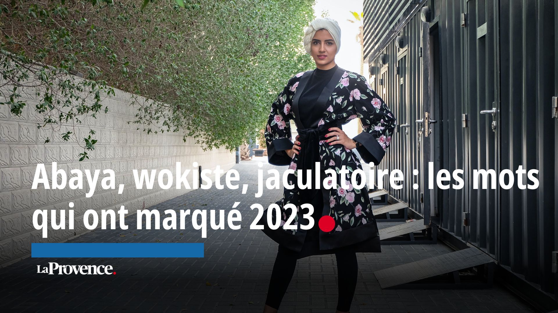 Vidéo - Abaya, wokiste : ces mots qui ont marqué 2023