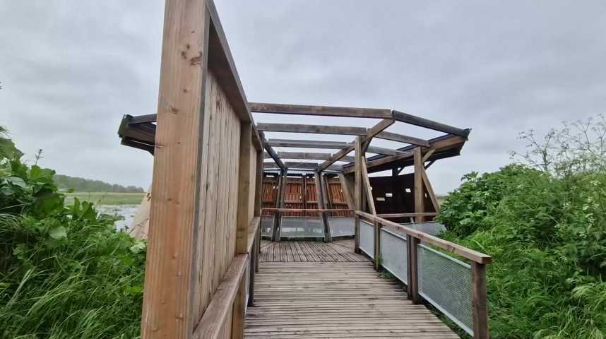 Vidéos : Sentier du marais du Hode au Havre - Courrier picard