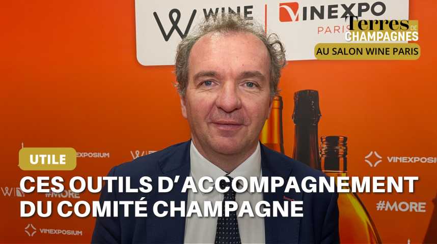Vidéos : Wine Paris. Ces outils d'accompagnement du Comité Champagne ...