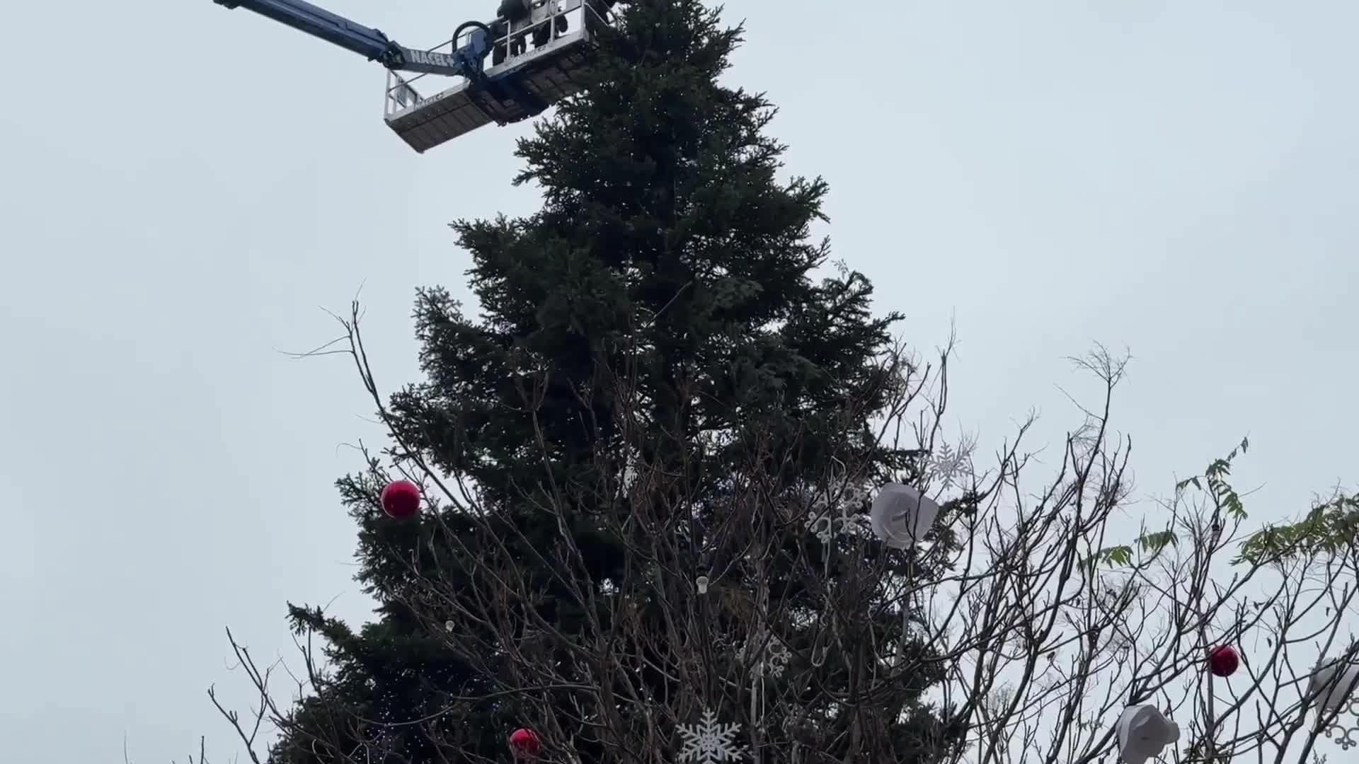 Marché de Noël de Strasbourg : premières décos pour le grand sapin