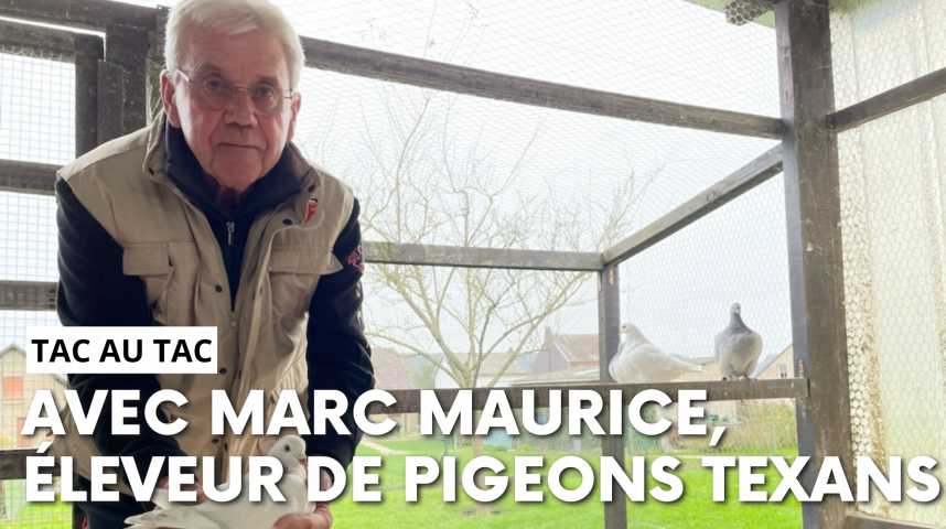 Vidéos : Tac au tac avec Marc Maurice, éleveur de pigeons texans - L'union