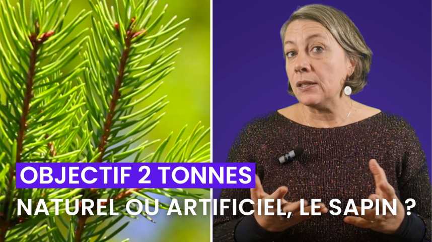 Vidéos : Objectif 2 tonnes : naturel ou artificiel, le sapin ...