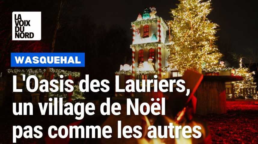 L'Oasis des Lauriers, un village de Noël pas comme les autres à ...