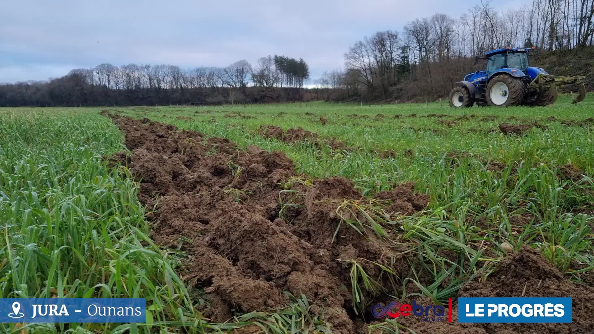 « Le couvert permet de pomper l’azote présente dans le sol