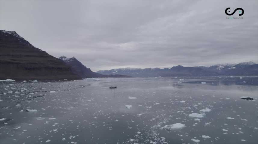 Sur les traces des morues arctiques