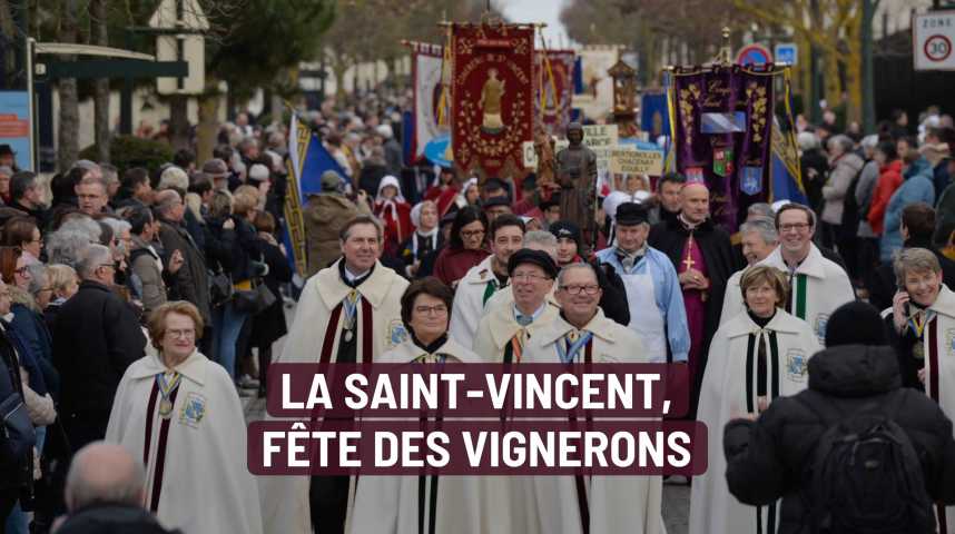 Vidéos : Les vignerons de Champagne préparent activement la Saint ...
