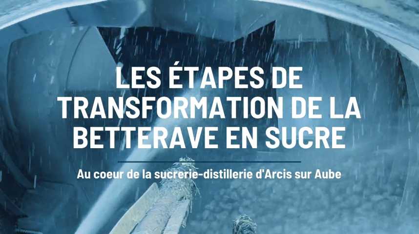 Vidéos : Sucrerie-distillerie d'Arcis-sur-Aube : les étapes de ...