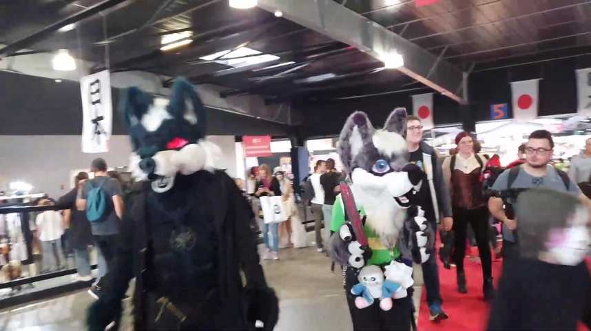 Vidéos : Rouen. Festival Chibi au parc expo - Paris Normandie