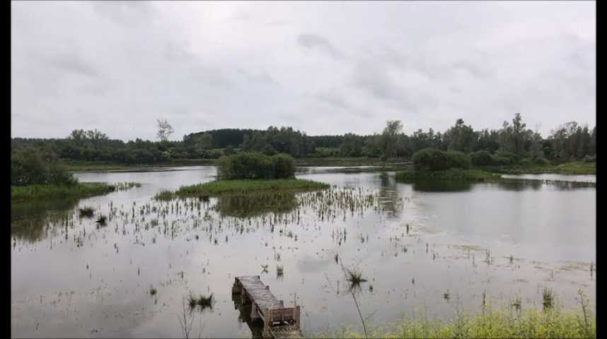 Vidéos : Une nouvelle zone humide de 27 hectares créée par l'homme, l ...