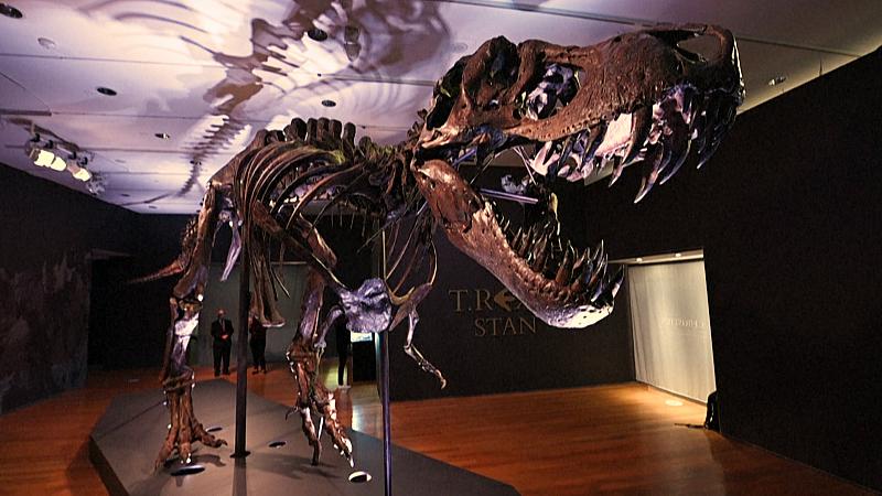 Près de 32 millions de dollars le T-Rex : record pulvérisé pour un ...