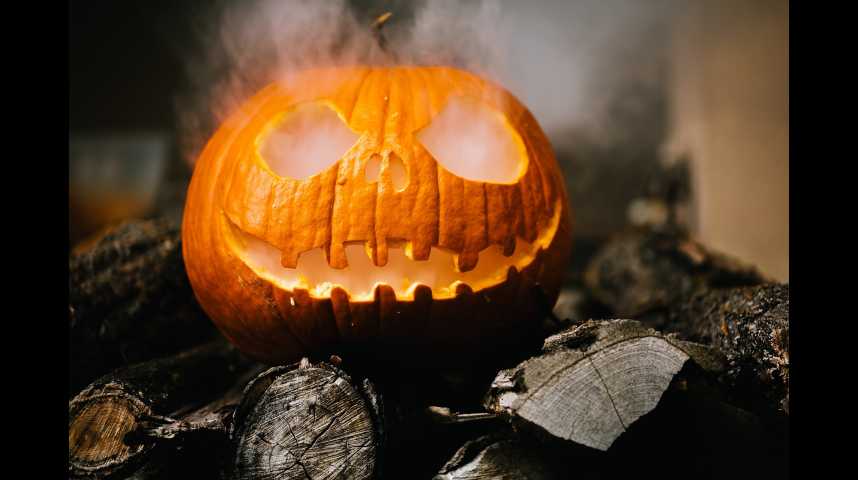 Tuto Halloween: comment sculpter une citrouille - La Voix du Nord Vidéos