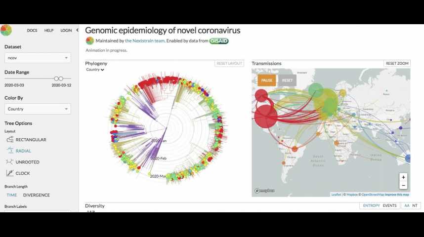 Nexstrain, cartographie et chronologie génomiques de Covid-19