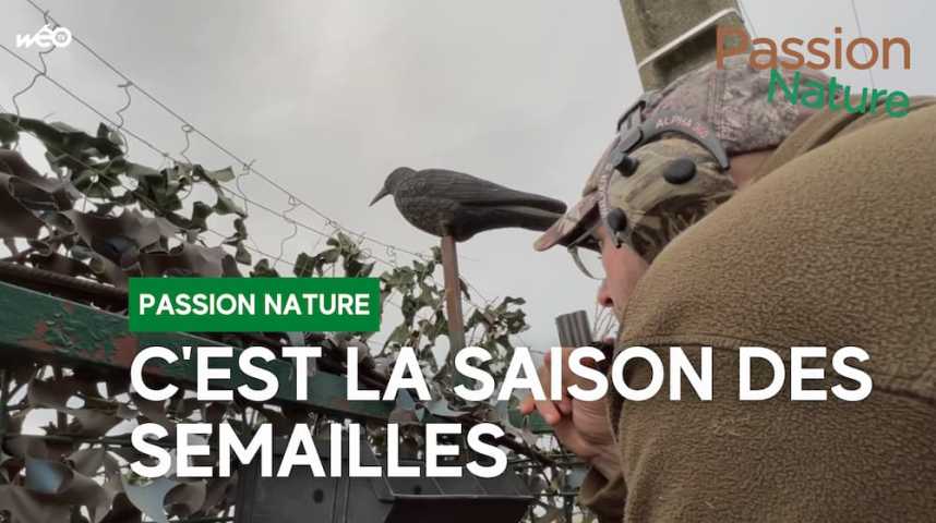La protection des cultures - La Voix du Nord Vidéos