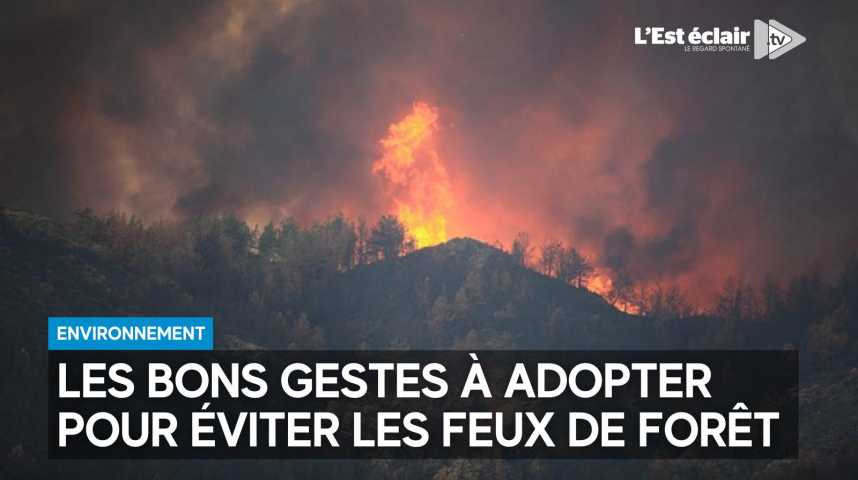 Vidéos : Voici les bons gestes à adopter pour éviter les feux de forêt ...