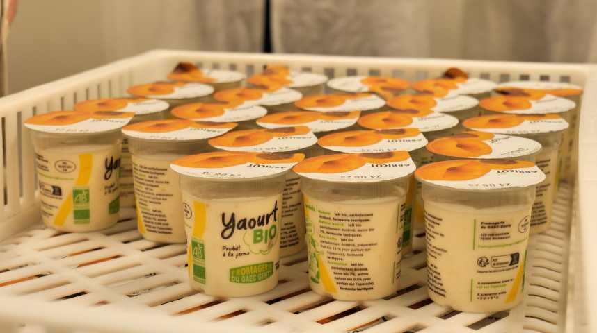 Vidéos : Près d'Aumale, on vous emmène dans les coulisses de la ...