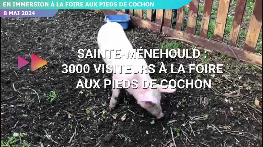 Vidéos : La foire aux pieds de cochon de retour à Sainte-Ménehould - L ...