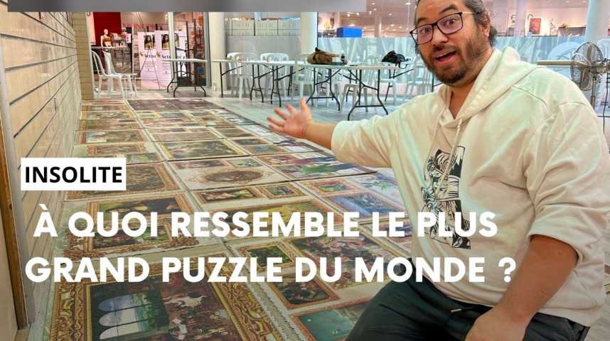 Vidéos : A quoi ressemble le plus grand puzzle du monde assemblé à ...