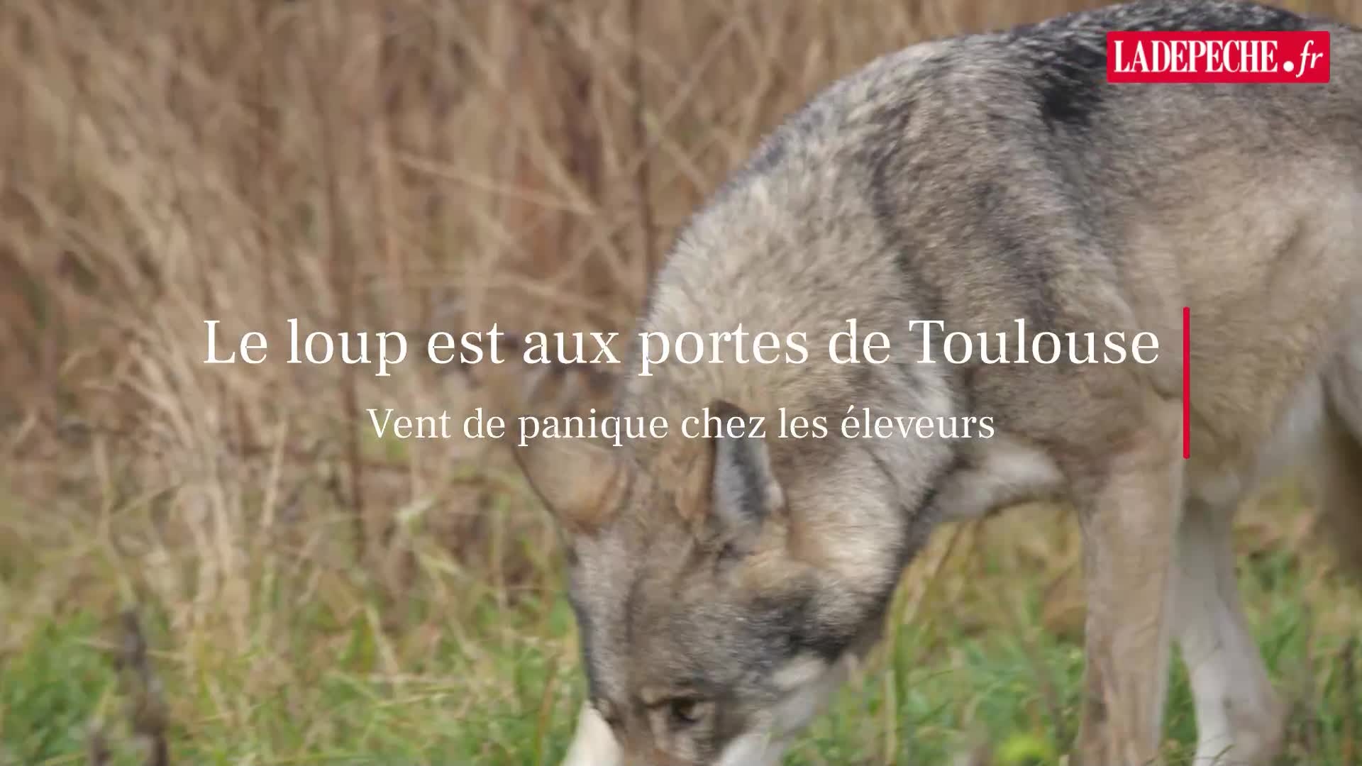 Chatroulette sexe i asked her to turn off one accessory