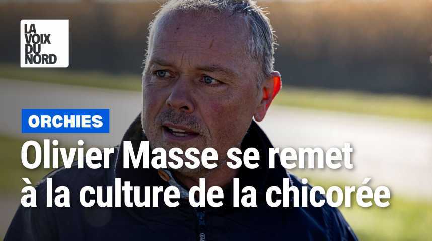 La chicorée de retour dans les champs d'Orchies : rencontre avec ...