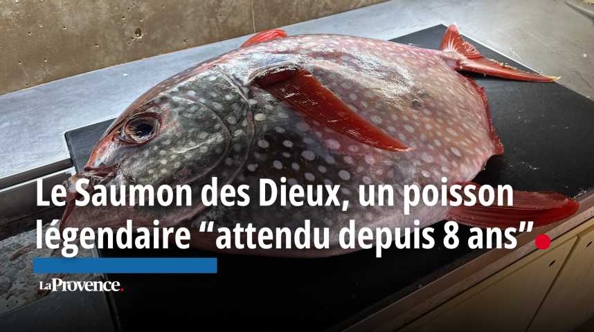 VIDÉO. Le Saumon des Dieux, "un poisson légendaire" à 150€ le kilo ...