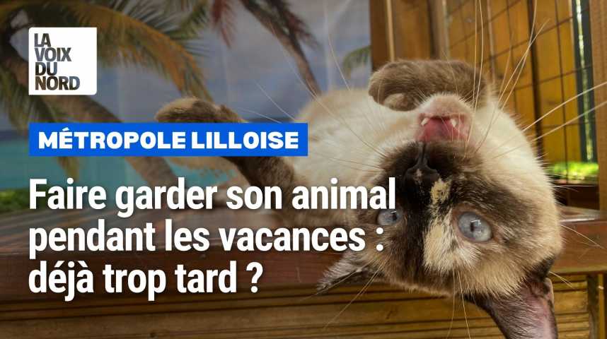 Est-il trop tard pour faire garder son animal cet été ? - La Voix du ...
