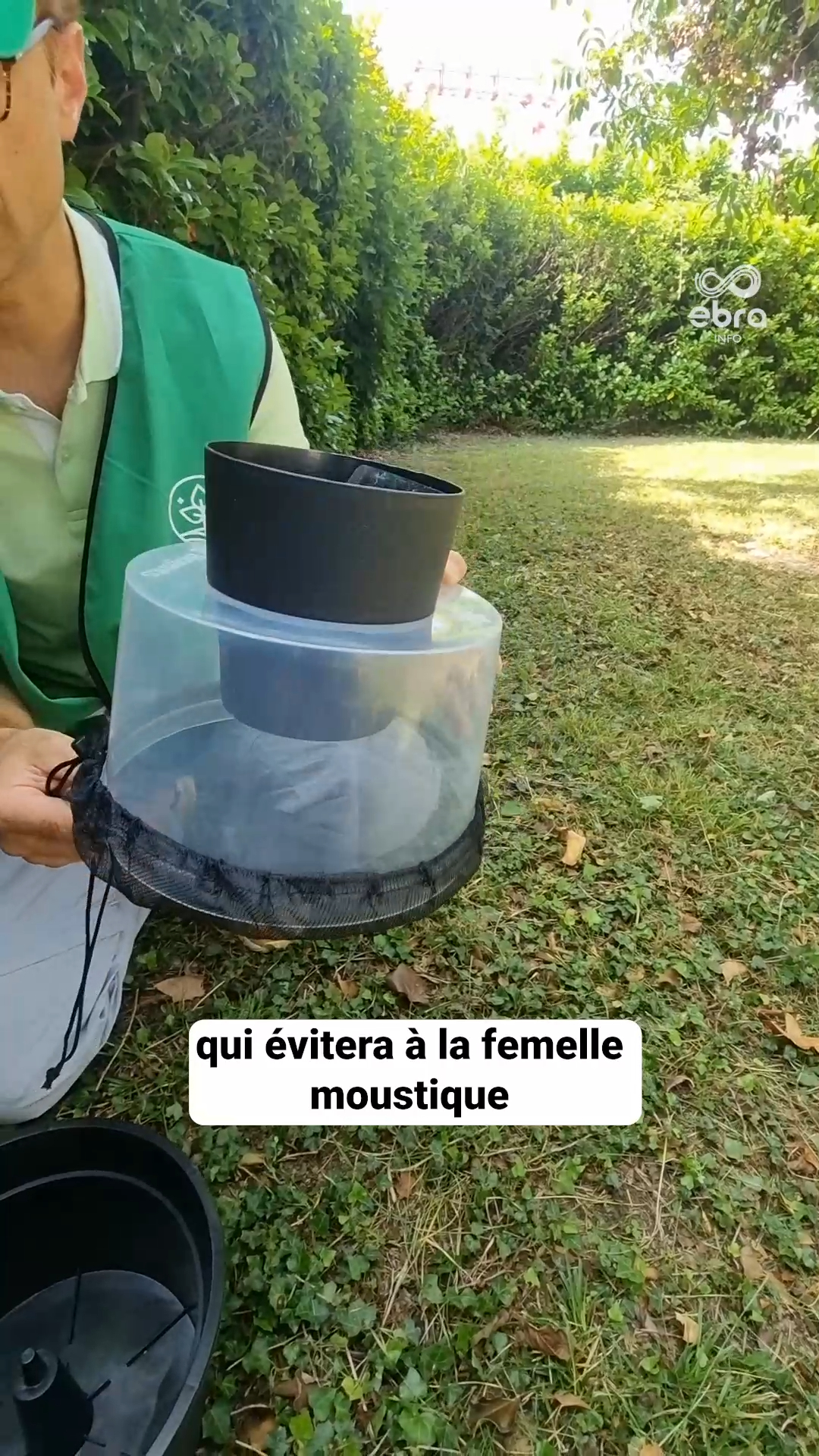 Moustiques-tigres : un spécialiste donne des conseils pour les piéger