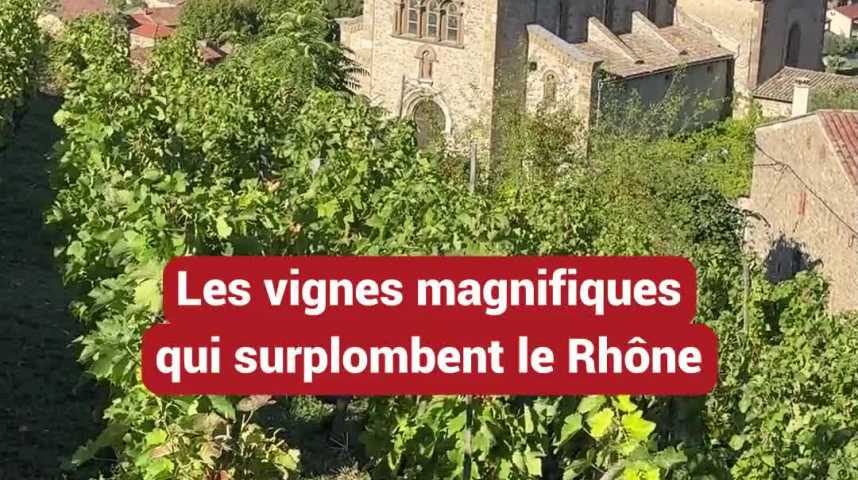 Le Saint-Joseph de la jeune vigneronne Amélie Bezon