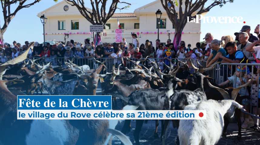 La Chèvre du Rove, fierté vivante d’un village en fête