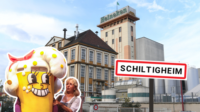 Bons baisers de Schiltigheim : un portrait communal animé