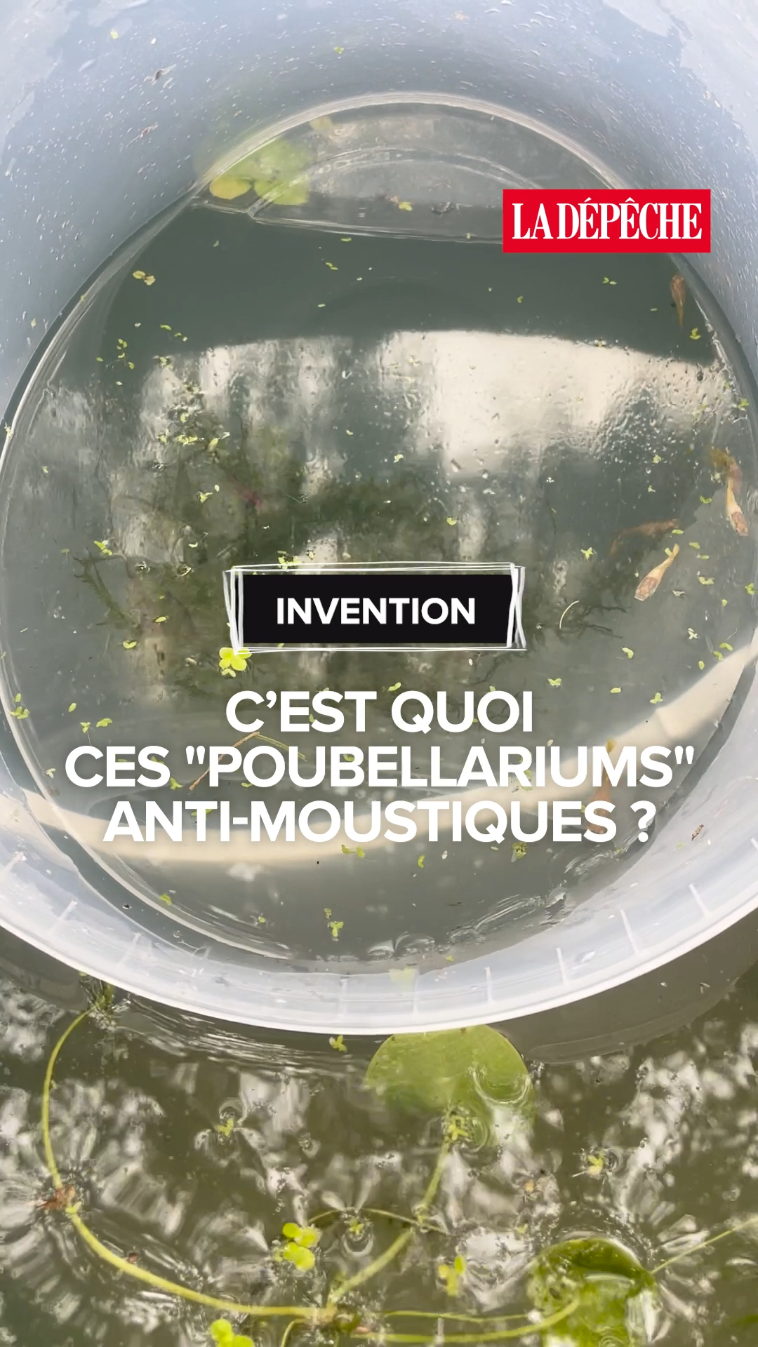 Erome torinha e anao alaina unlocked the door; the woman is